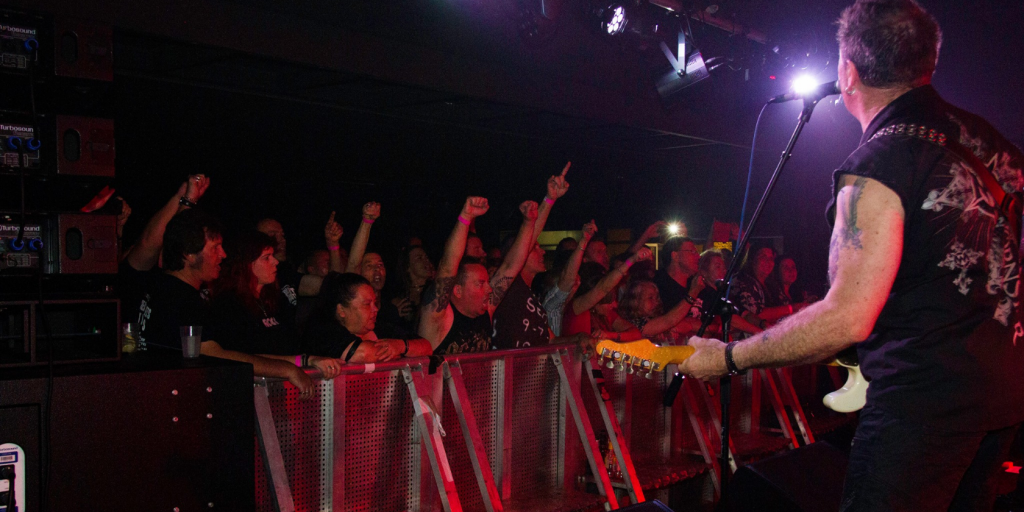 The Back Room - Live at Your Local