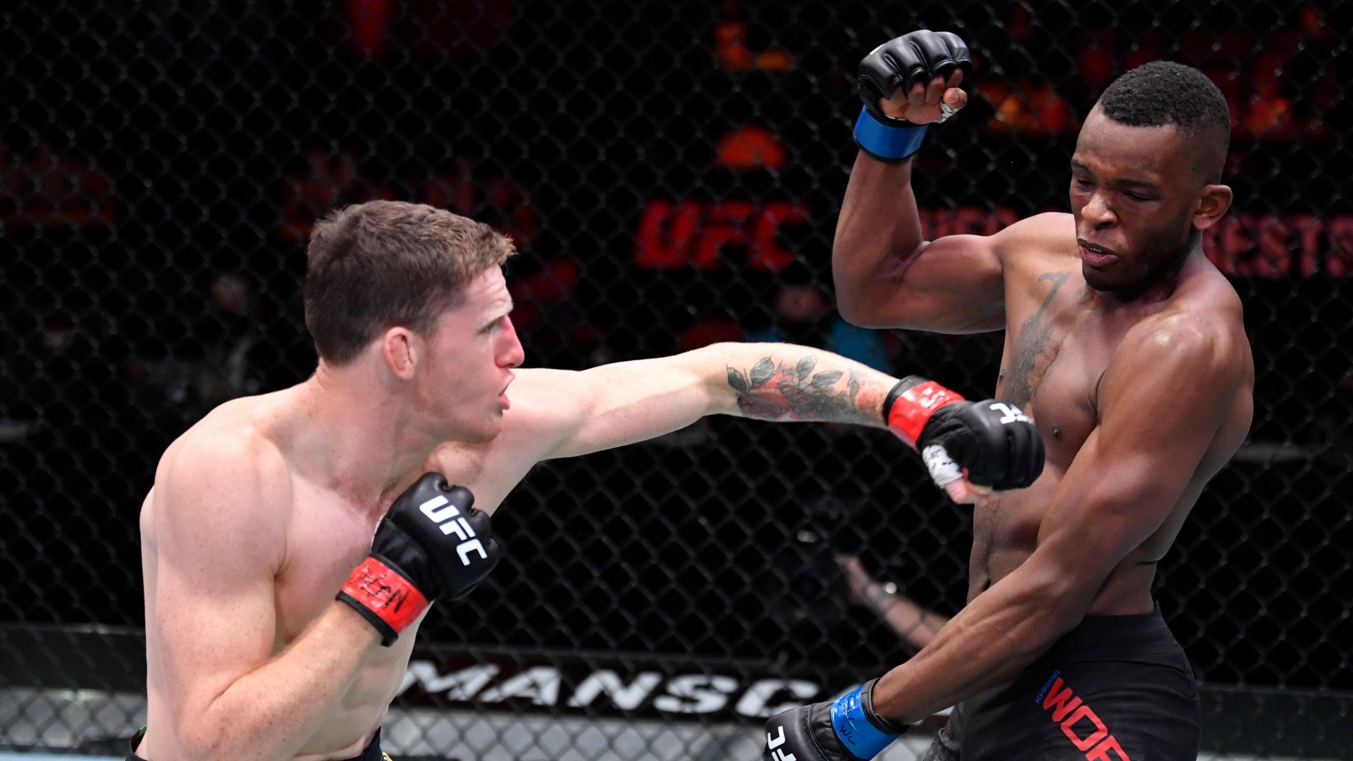 The four Aussie UFC fighters to put on your radar for UFC 293